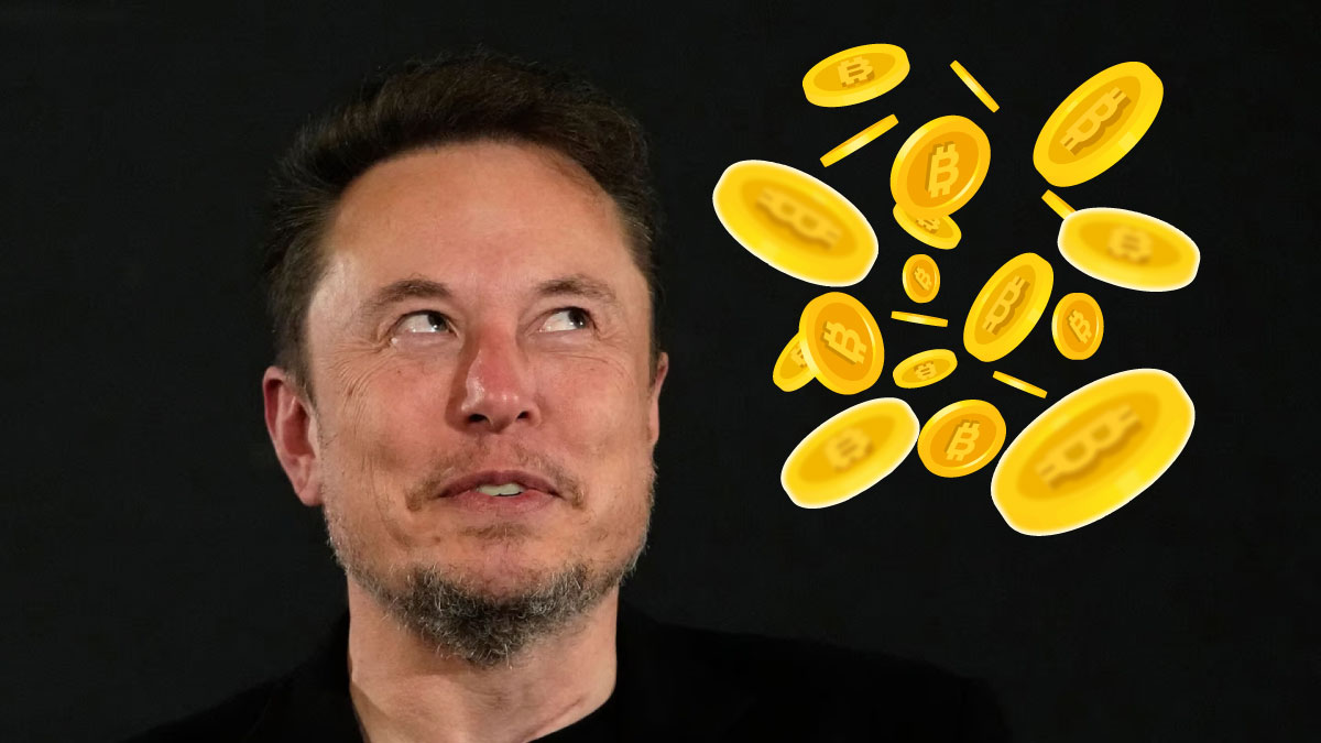 Elon Musk Bitcoin Giveaway Scams: Unraveling the Truth